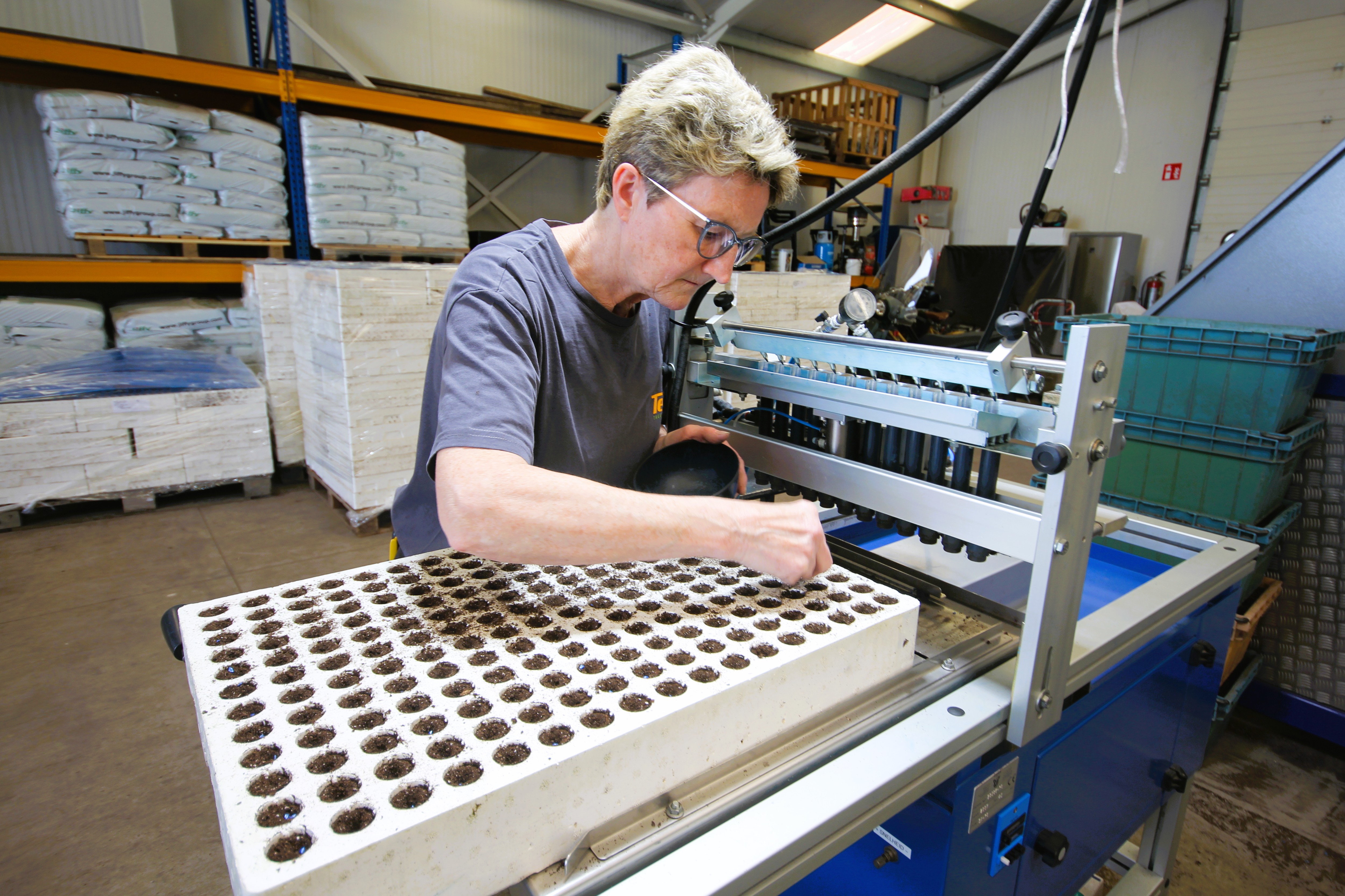 EPS-tray’s: de ideale oplossing voor het kweken van jonge boomplantjes - Koninklijke Hordijk